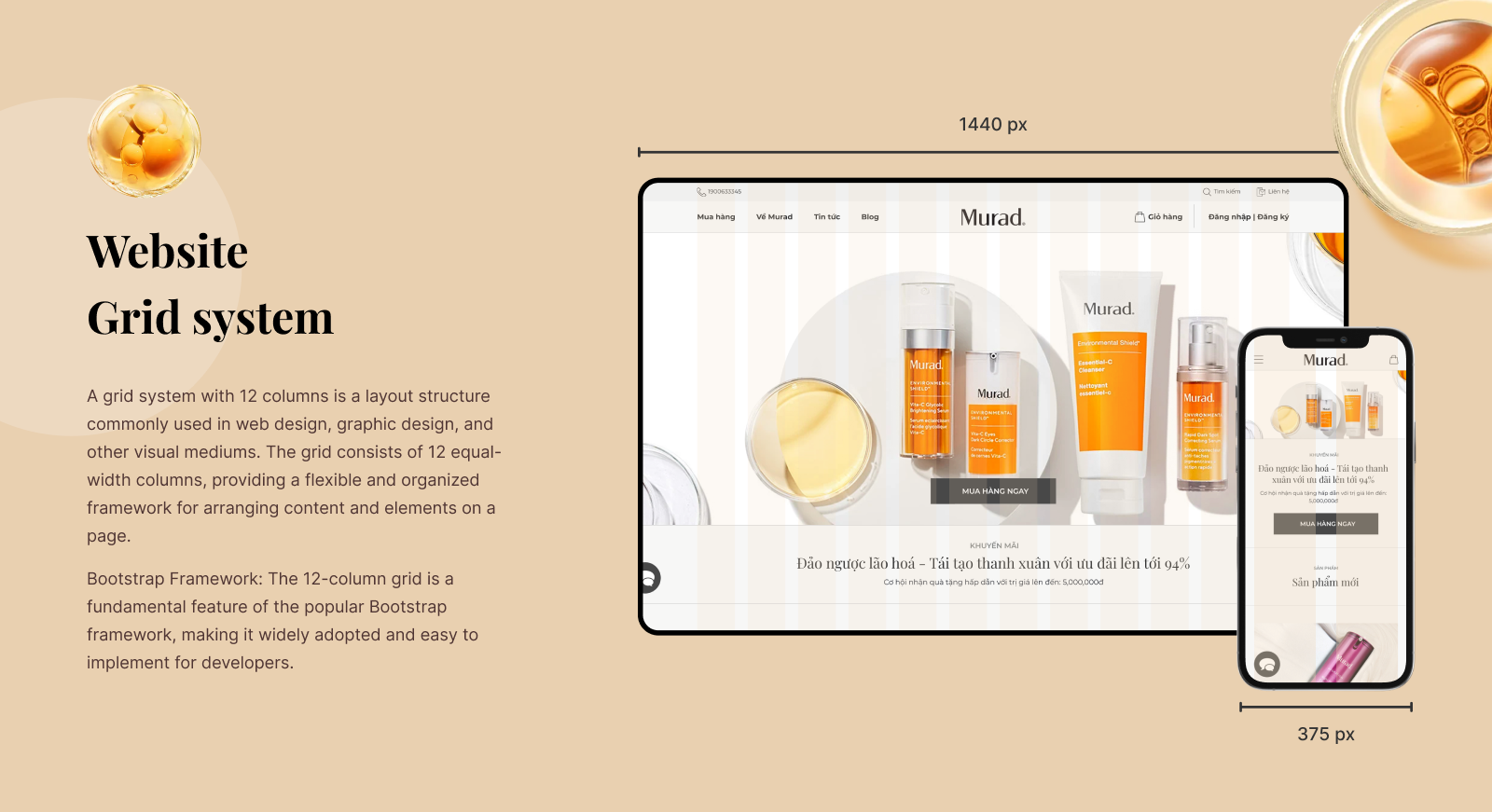 Murad App — Fractal